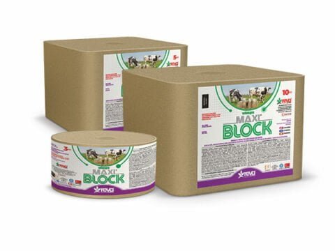 Vetasupra Maxi Blok | Reva | 2024