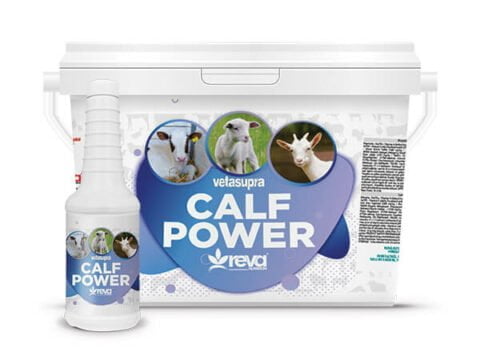 Vetasupra Calf Power | Reva