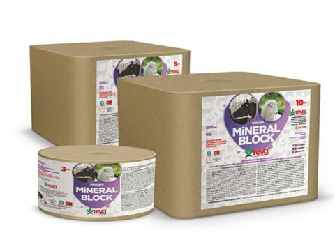 Vetasupra Mineral Block | Reva